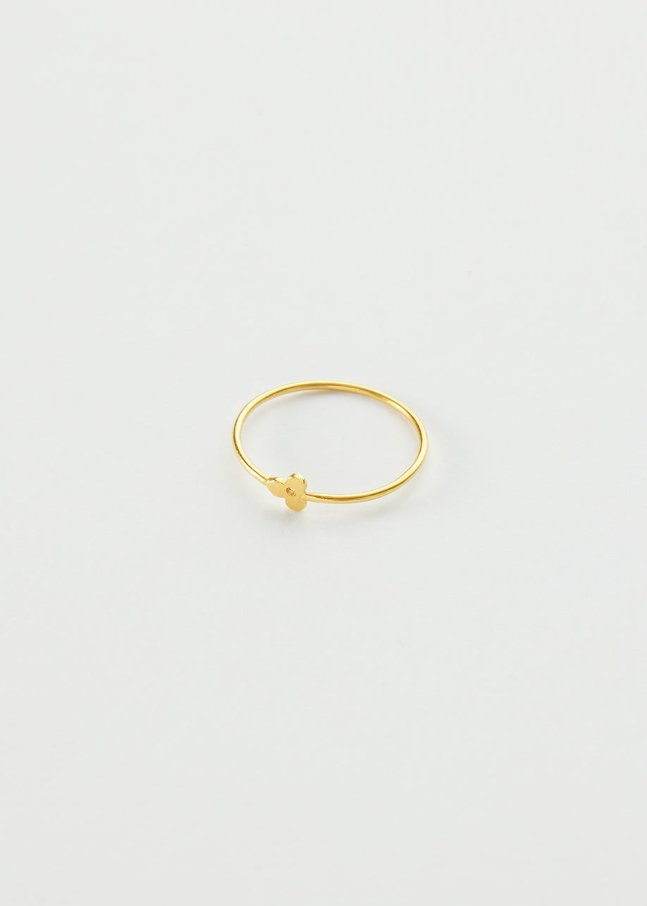 Anemone – Pippa Small