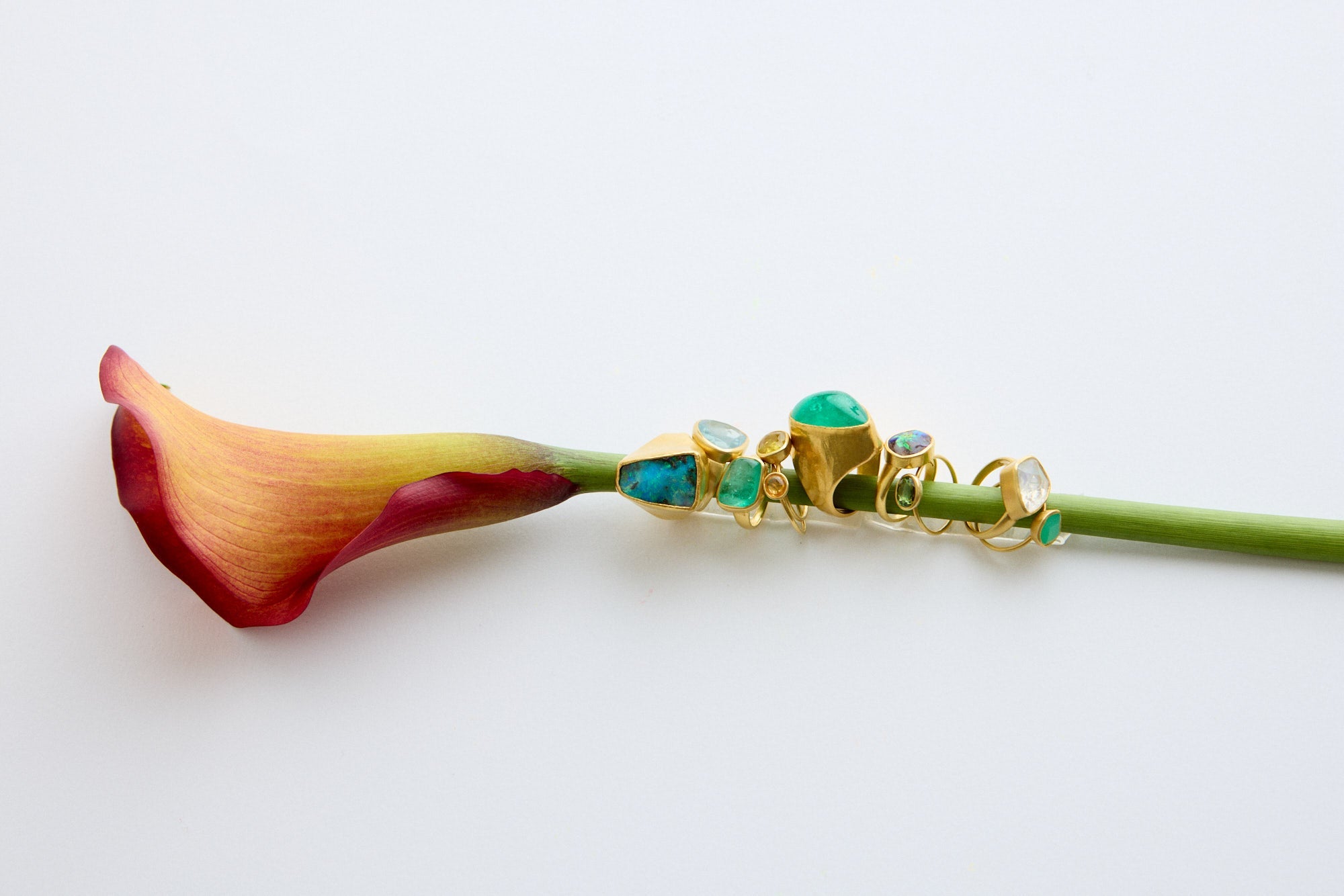 Rings – Pippa Small